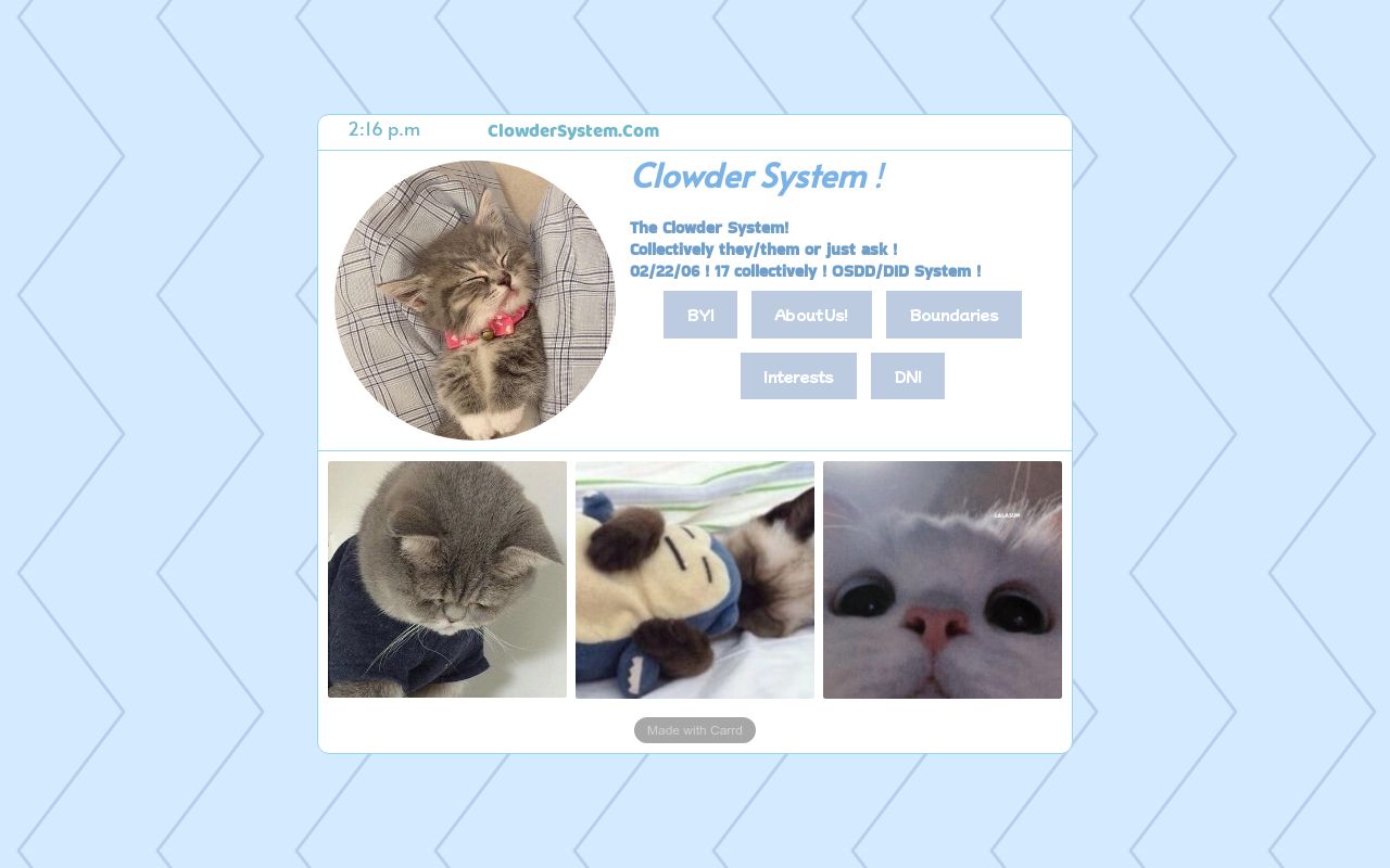 The Clowder System